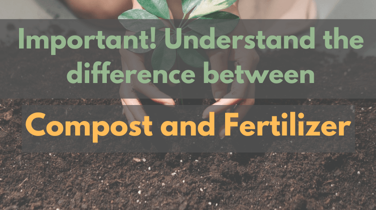 Important! Understand the difference between Compost and Fertilizer ...